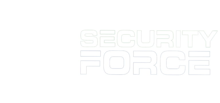 How to Conduct a Security Audit: A Step-by-Step Guide | Security Force